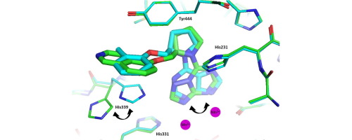 Novel reversible methionine aminopeptidase-2 (MetAP-2) inhibitors based ...