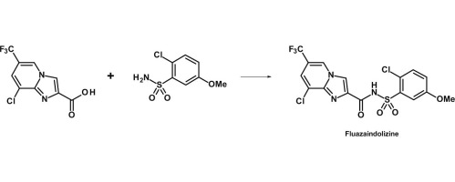 The discovery of fluazaindolizine: A new product for the control of ...