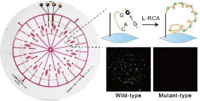 A valveless rotary microfluidic device for multiplex point mutation identification based on ...