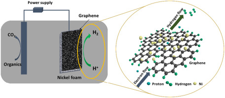 Enhanced hydrogen production in microbial electrolysis cell with 3D ...