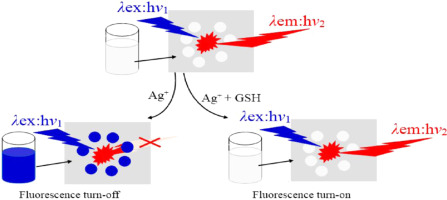 基于氧化TMB对TMPyP的荧光内滤作用，谷胱甘肽在半胱氨酸上的荧光开启和比色双重读出测定,Biosensors and ...