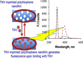Polythiophene nanofilms for sensitive fluorescence detection of viruses ...