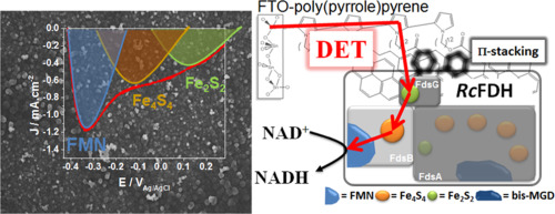 Ready to use bioinformatics analysis as a tool to predict ...
