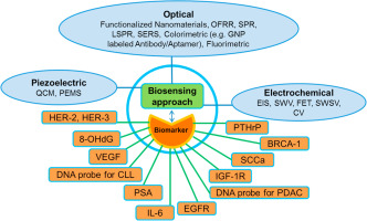 Rapid biosensing tools for cancer biomarkers,Biosensors and ...