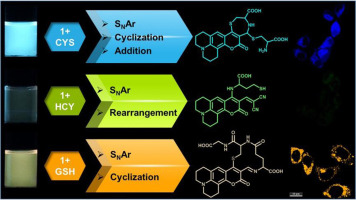 用于基于不同级联反应有效区分Cys，Hcy和GSH的荧光探针,Biosensors and Bioelectronics - X-MOL