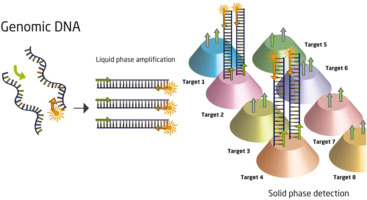 A novel lab-on-chip platform with integrated solid phase PCR and ...