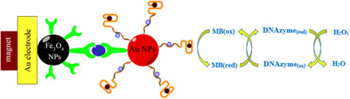 A highly sensitive electrochemical immunosensor for hepatitis B virus ...