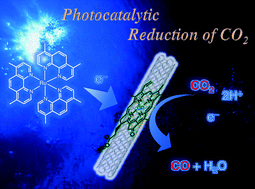 Photocatalytic reduction of CO2 and H2O to CO and H2 with a cobalt ...