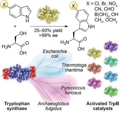 我们的姊妹期刊聚焦：ChemBioChem 18/2016,ChemBioChem - X-MOL