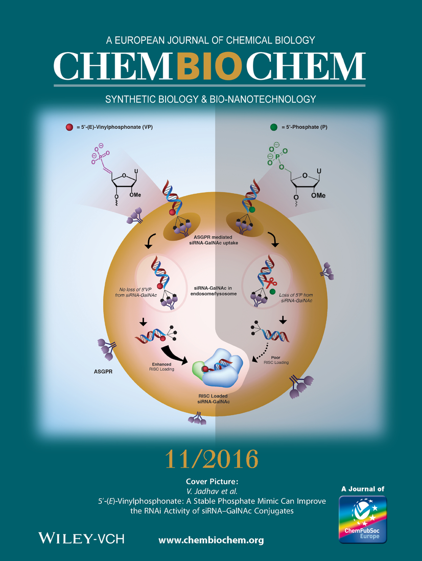Cover Picture,ChemBioChem - X-MOL