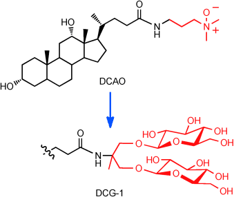 Deoxycholate‐Based Glycosides (DCGs) for Membrane Protein Stabilisation ...