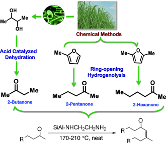 Spotlights on our sister journals: ChemBioChem 6/2015,ChemBioChem - X-MOL