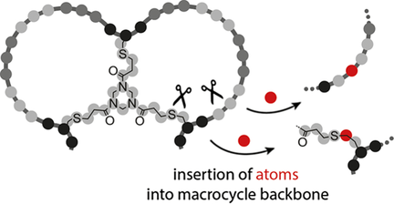 Improving the Binding Affinity of in‐Vitro‐Evolved Cyclic Peptides by Inserting Atoms into the ...
