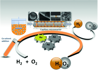 Direct Synthesis of Hydrogen Peroxide over Au‐Pd Catalyst—The Effect of ...