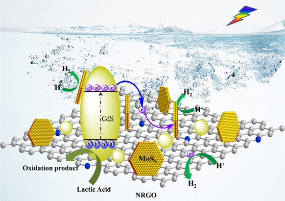 CdS‐Nanoparticles‐Decorated Perpendicular Hybrid of MoS2 and N‐Doped ...
