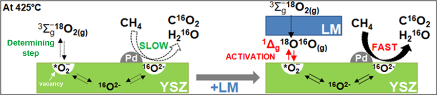 Study of Lanthanum Manganate and Yttrium‐Stabilized Zirconia‐Supported ...