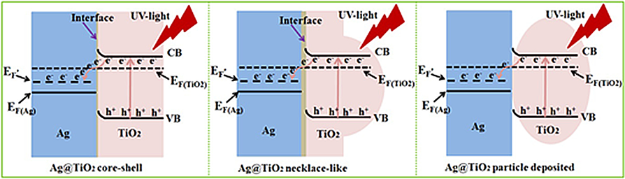 Photocatalytic Activity Evolution of Different Morphological TiO2 ...