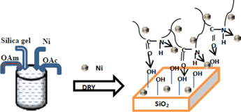 Anti‐Coking Ni/SiO2 Catalyst for Dry Reforming of Methane: Role of Oleylamine/Oleic Acid Organic ...