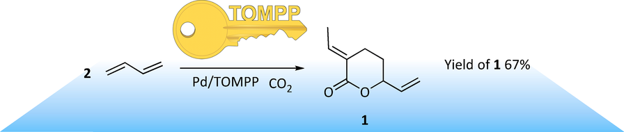 二氧化碳高效选择性催化钯催化1,3-丁二烯的端聚反应,ChemCatChem - X-MOL
