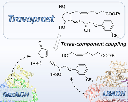 化学酶法合成活性剂Travoprost,ChemCatChem - X-MOL