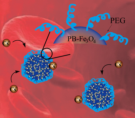 Cesium Removal from Human Blood by Poly(ethylene glycol)-Decorated ...