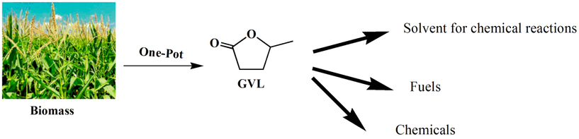 碳水化合物合成γ-戊内酯及其应用,ChemSusChem - X-MOL