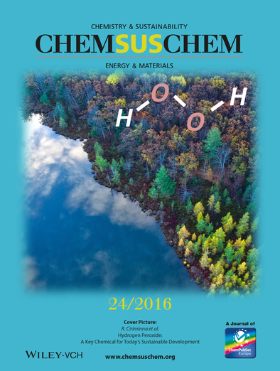 Cover Picture,ChemSusChem - X-MOL