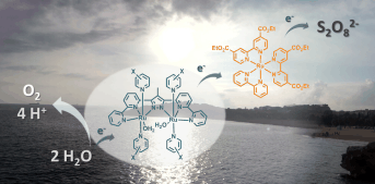 Efficient Light‐Driven Water Oxidation Catalysis by Dinuclear Ruthenium ...