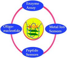 Targeting G-quadruplex structures with extrinsic fluorogenic dyes ...