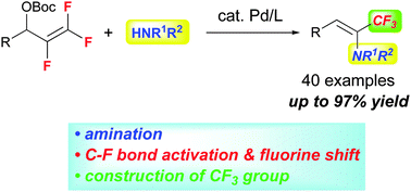Palladium-catalyzed amination of 2,3,3-trifluoroallyl esters: synthesis ...