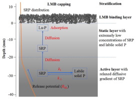 静态层：用镧改性的膨润土（Phoslock®）修正的将磷固定在沉积物中的关键,Chemical Engineering Journal - X-MOL