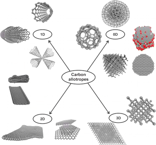 Broad Family of Carbon Nanoallotropes: Classification, Chemistry, and Applications of Fullerenes ...
