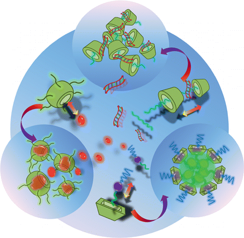 Biomedical Applications of Supramolecular Systems Based on Host–Guest ...