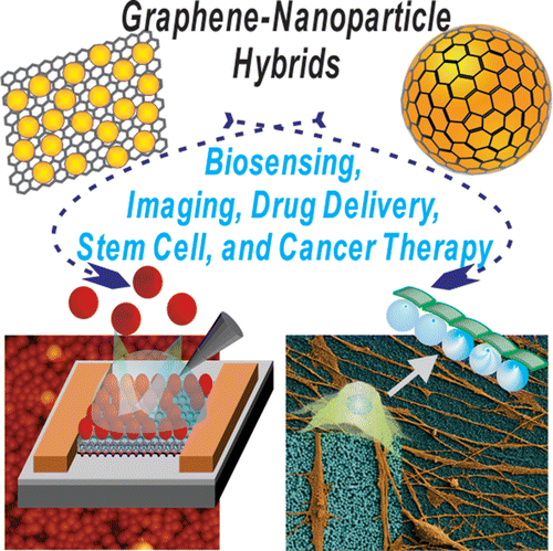 Design, Synthesis, and Characterization of Graphene–Nanoparticle Hybrid ...
