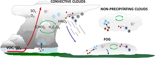 Modeling the Processing of Aerosol and Trace Gases in Clouds and Fogs ...