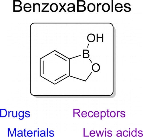 Recent Developments in the Chemistry and Biological Applications of ...