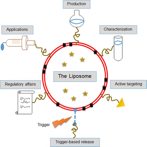 New Developments in Liposomal Drug Delivery,Chemical Reviews - X-MOL