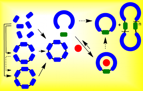 Macrocyclization Reactions: The Importance of Conformational ...