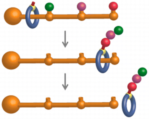 Artificial Molecular Machines,Chemical Reviews - X-MOL