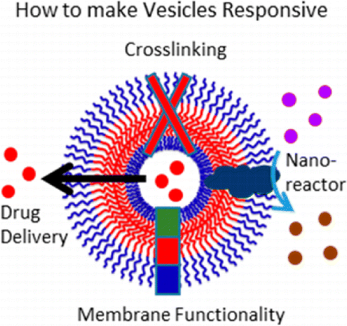 Engineering Functional Polymer Capsules toward Smart Nanoreactors ...