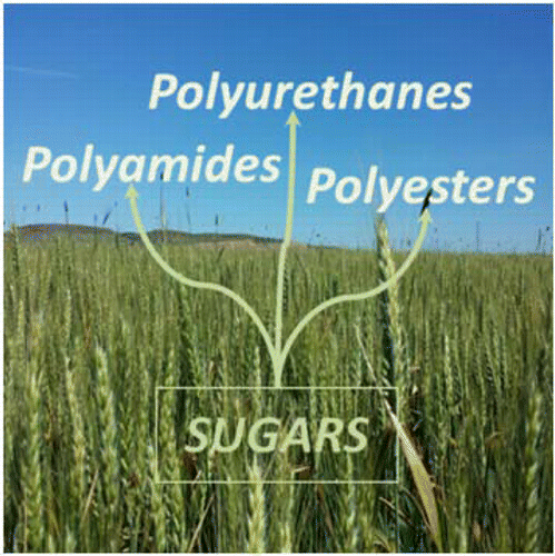 Synthetic Polymers from Sugar-Based Monomers,Chemical Reviews - X-MOL