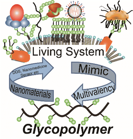 Glycopolymer Nanobiotechnology,Chemical Reviews - X-MOL