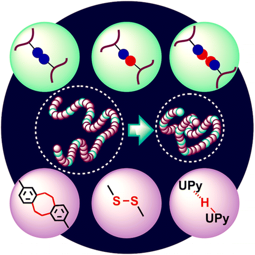 Intramolecular Cross-Linking Methodologies for the Synthesis of Polymer ...