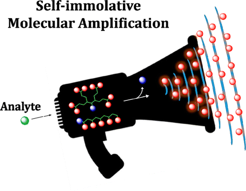 Dendritic, Oligomeric, and Polymeric Self-Immolative Molecular ...