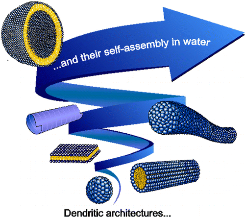 Supramolecular Architectures of Dendritic Amphiphiles in Water,Chemical ...