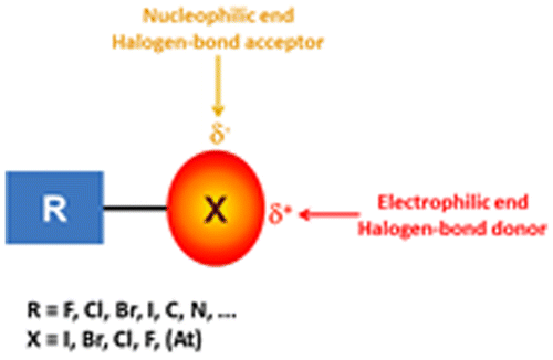 The Halogen Bond,Chemical Reviews - X-MOL
