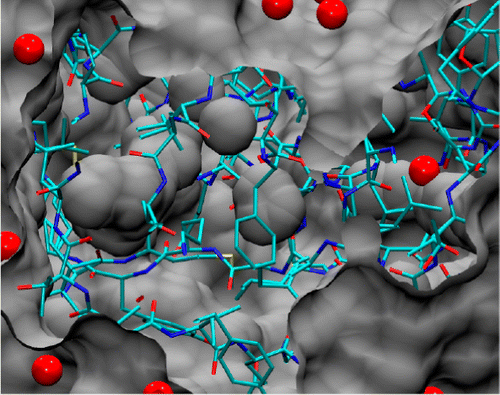 Water Determines the Structure and Dynamics of Proteins.,Chemical ...