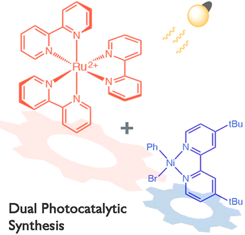 Dual Catalysis Strategies in Photochemical Synthesis,Chemical Reviews ...