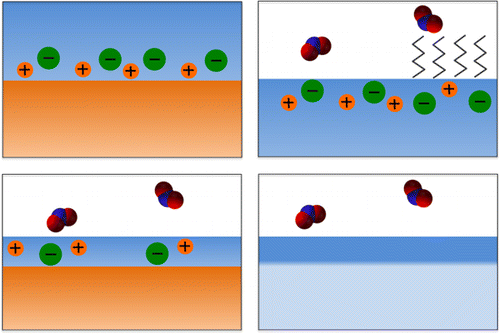 Water at Interfaces,Chemical Reviews - X-MOL