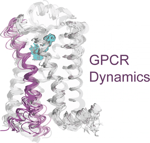 GPCR动力学：运动中的结构,Chemical Reviews - X-MOL